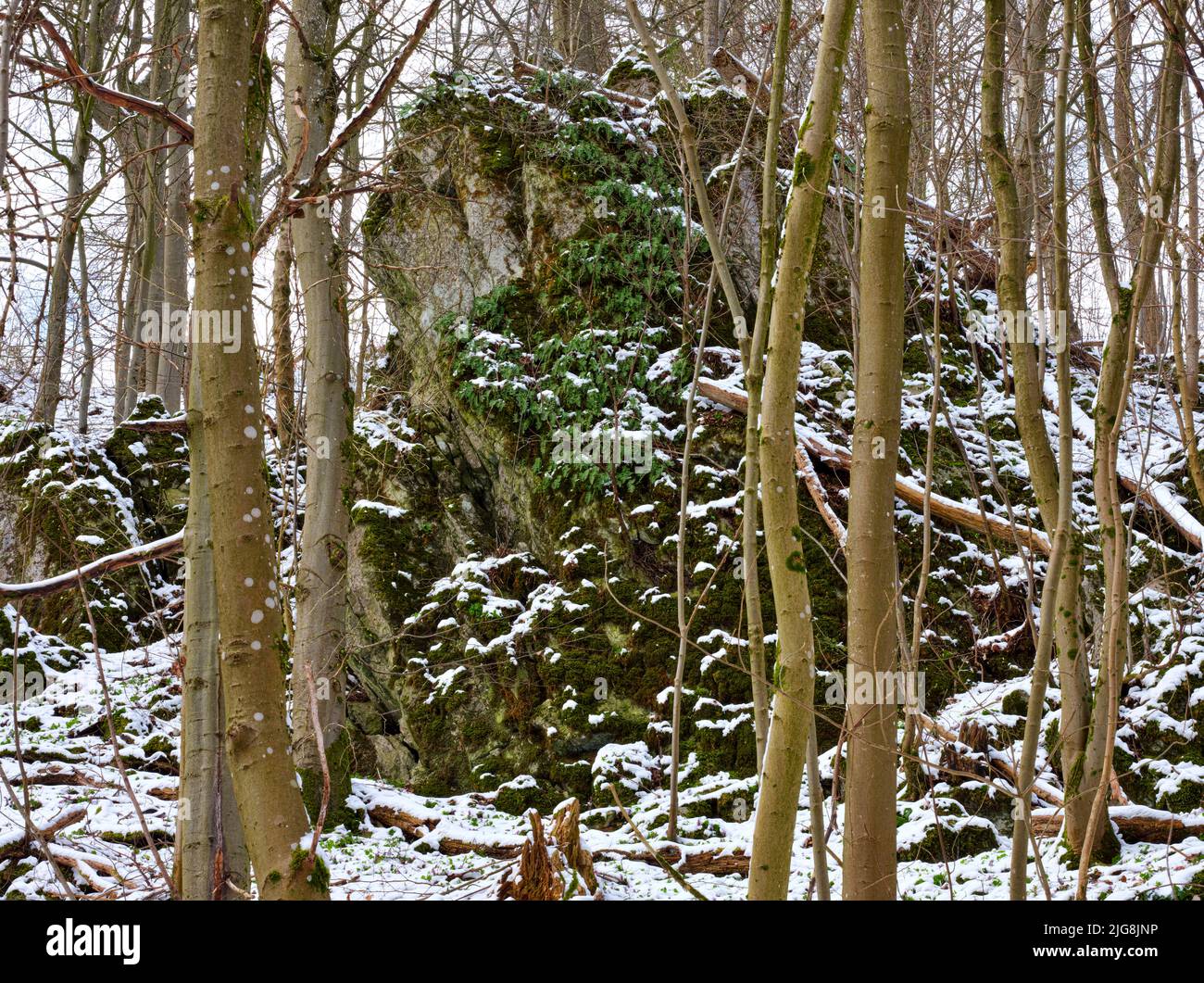 Ivy covered karst rock hi-res stock photography and images - Alamy