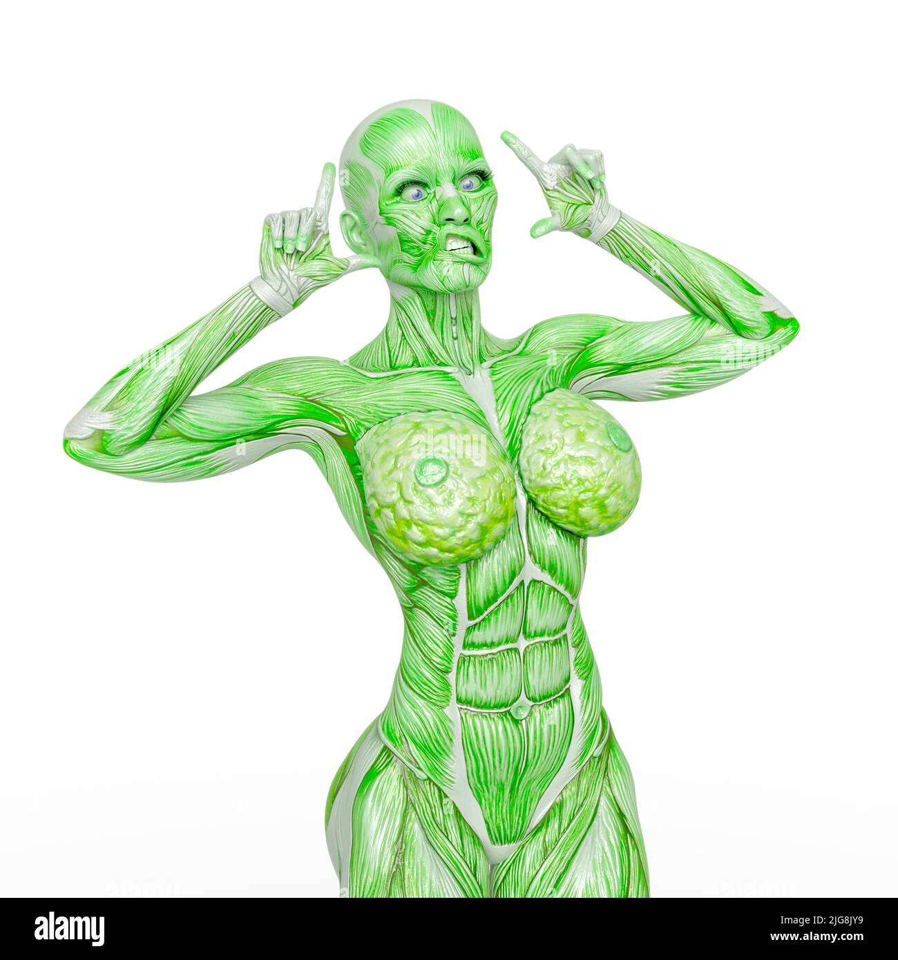 female bodybuilding in muscle maps is framed and doing a funny face in white background, 3d ...