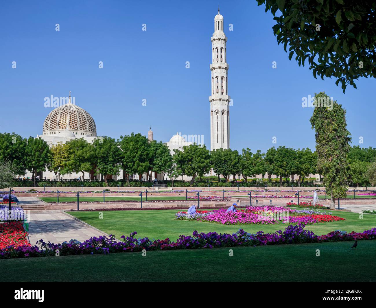 Great Sultan Qabus Mosque in Muscat, Oman Stock Photo - Alamy
