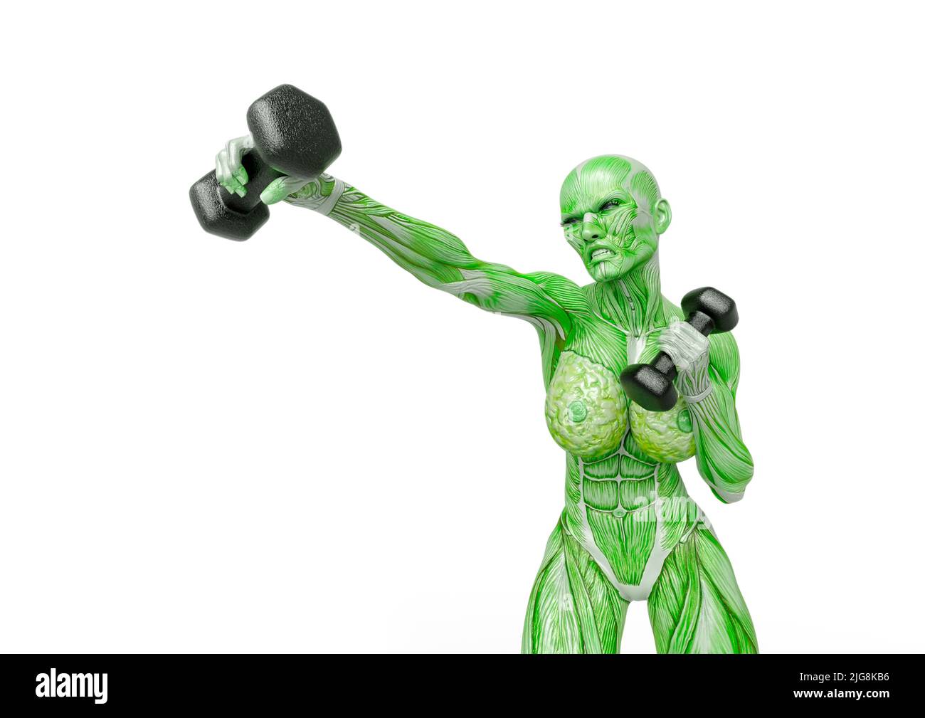 female bodybuilding in muscle maps doing punch with dumbbell in white ...