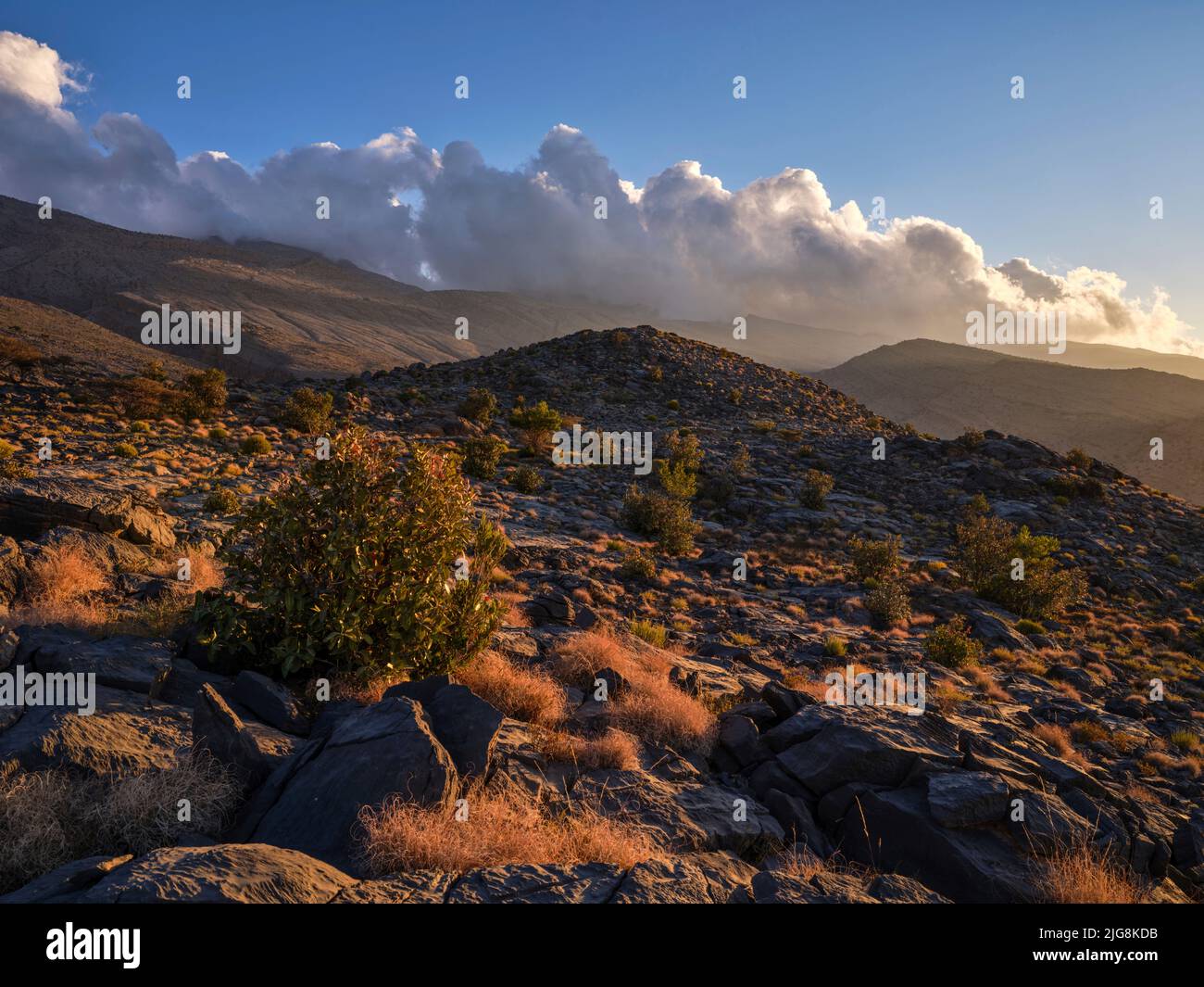 Dawn over al hamra hi-res stock photography and images - Alamy