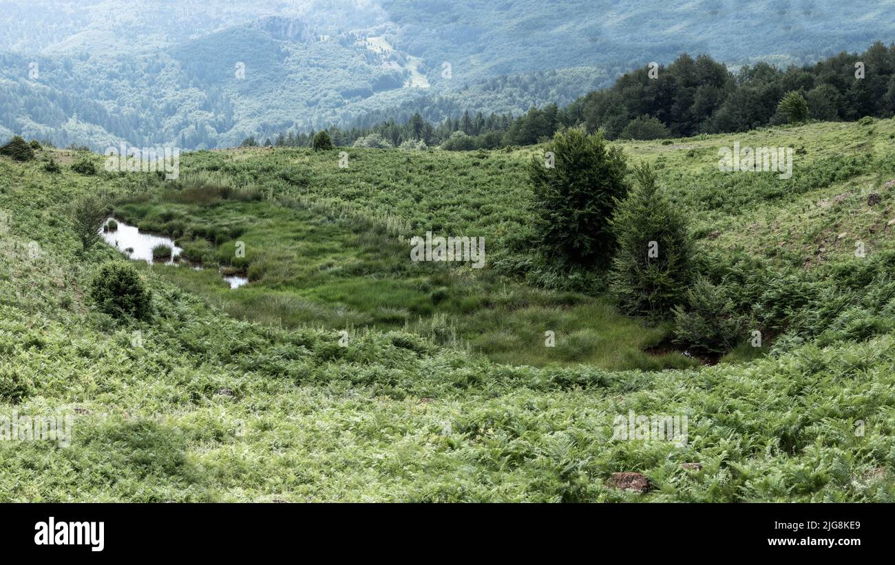 Lakes And Small Mountains In An Alpine Area Surrounded By Green Grass ...