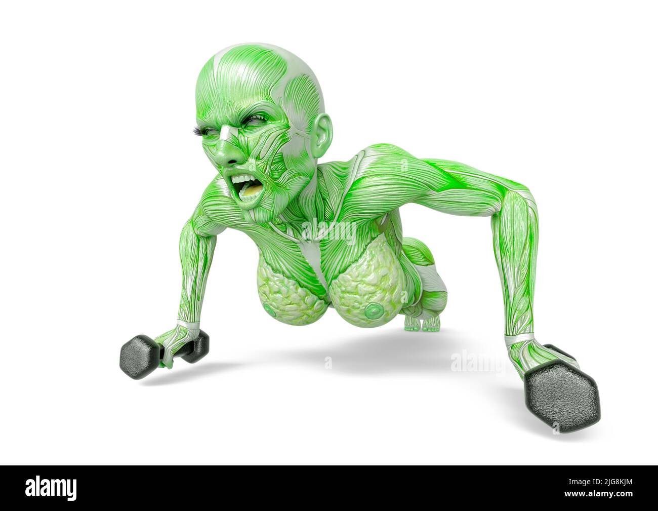 female bodybuilding in muscle maps doing push-ups with dumbbell in white background close up ...