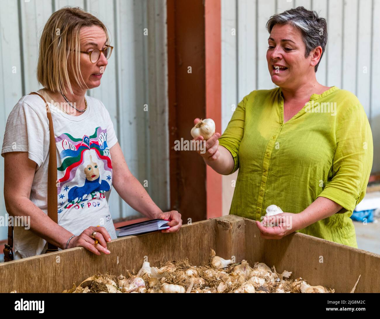Production of Black Garlic in Die, France Stock Photo - Alamy