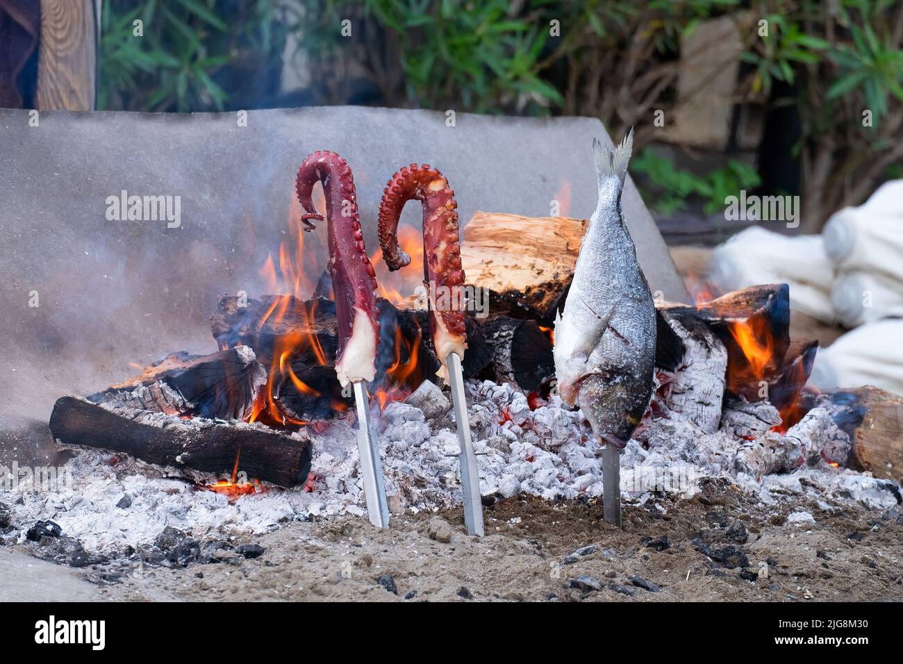 Typical food of the Andalusian coast, two grilled octopus tentacles and ...