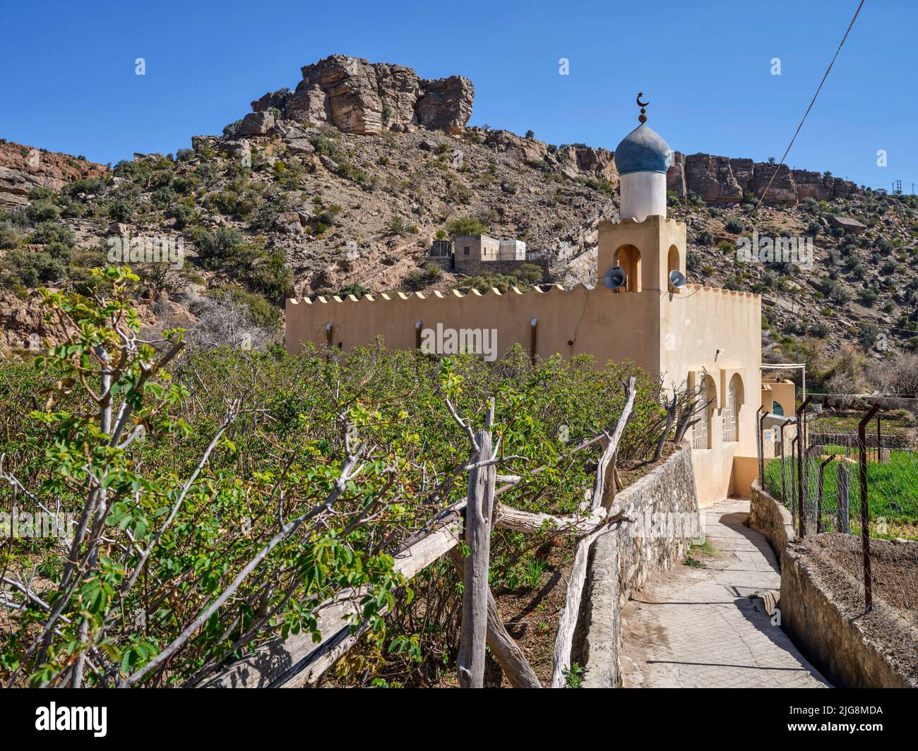 Al ain oman hi-res stock photography and images - Alamy