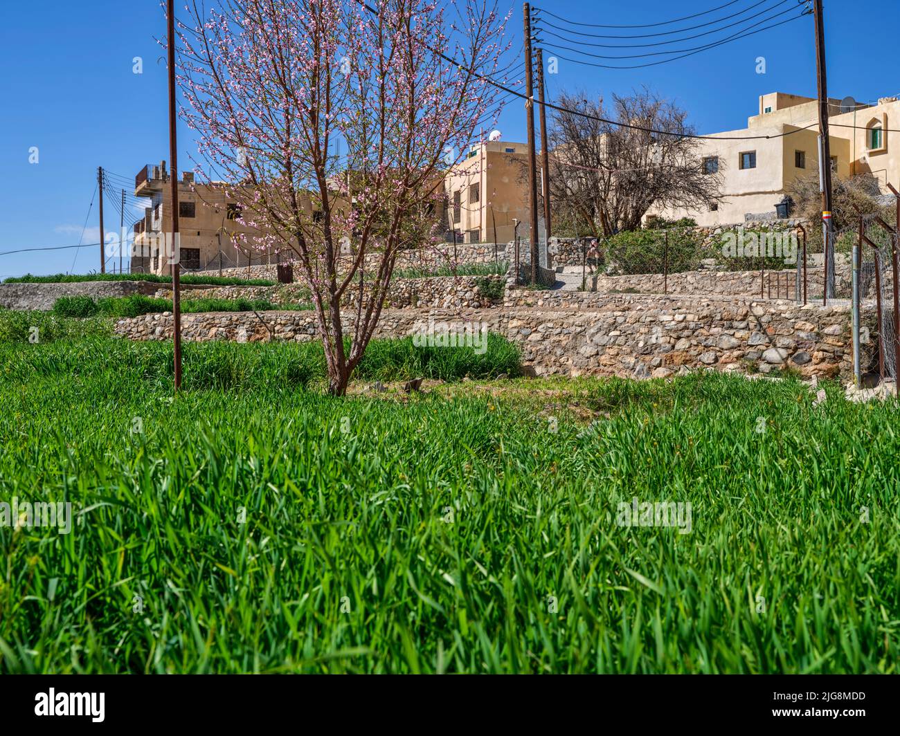 Walk through the mountain village of Al Ain, Oman Stock Photo - Alamy