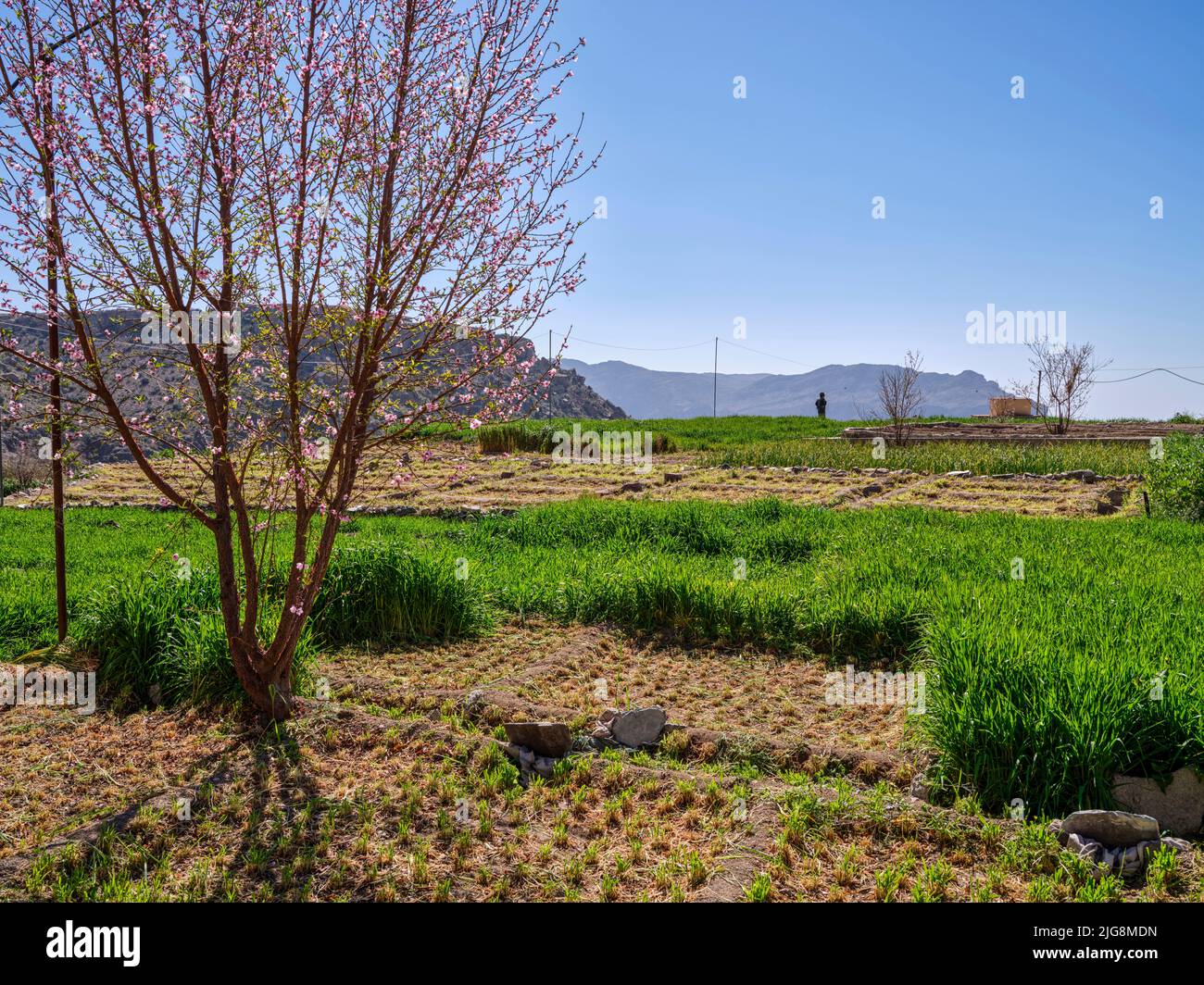 Walk through the mountain village of Al Ain, Oman Stock Photo - Alamy