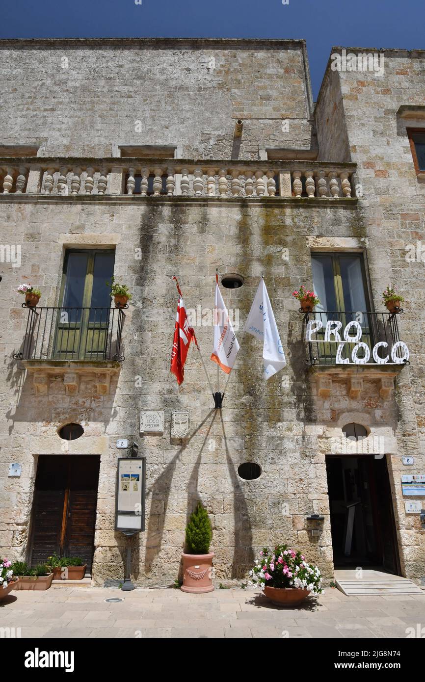 Balcony and windows of the town hall of Specchia, a medieval village in ...
