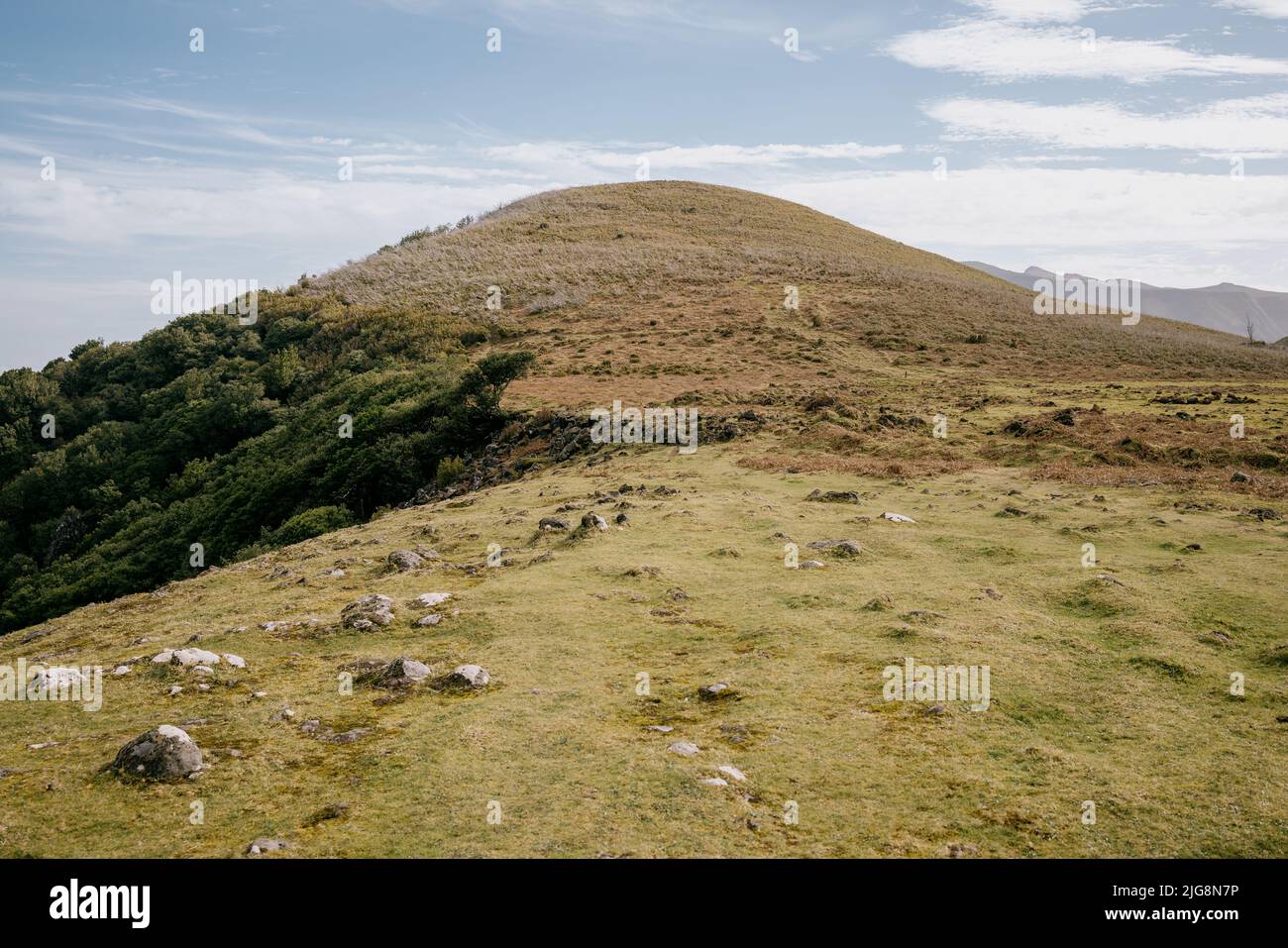 A scenic view of a hill in Fanal forest, Madeira island, Portugal Stock ...