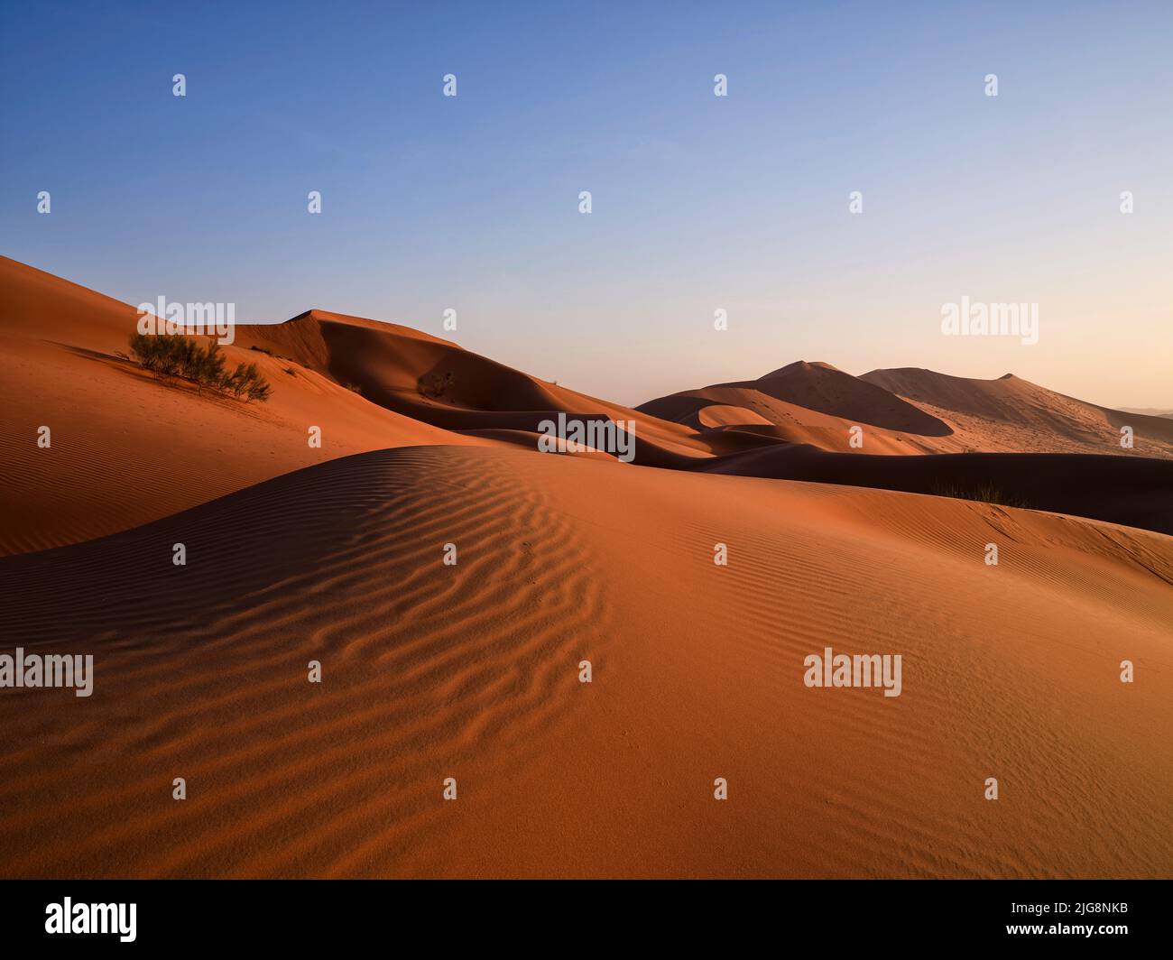 On the road in the dunes of the Rub-al-Khali, Oman Stock Photo - Alamy