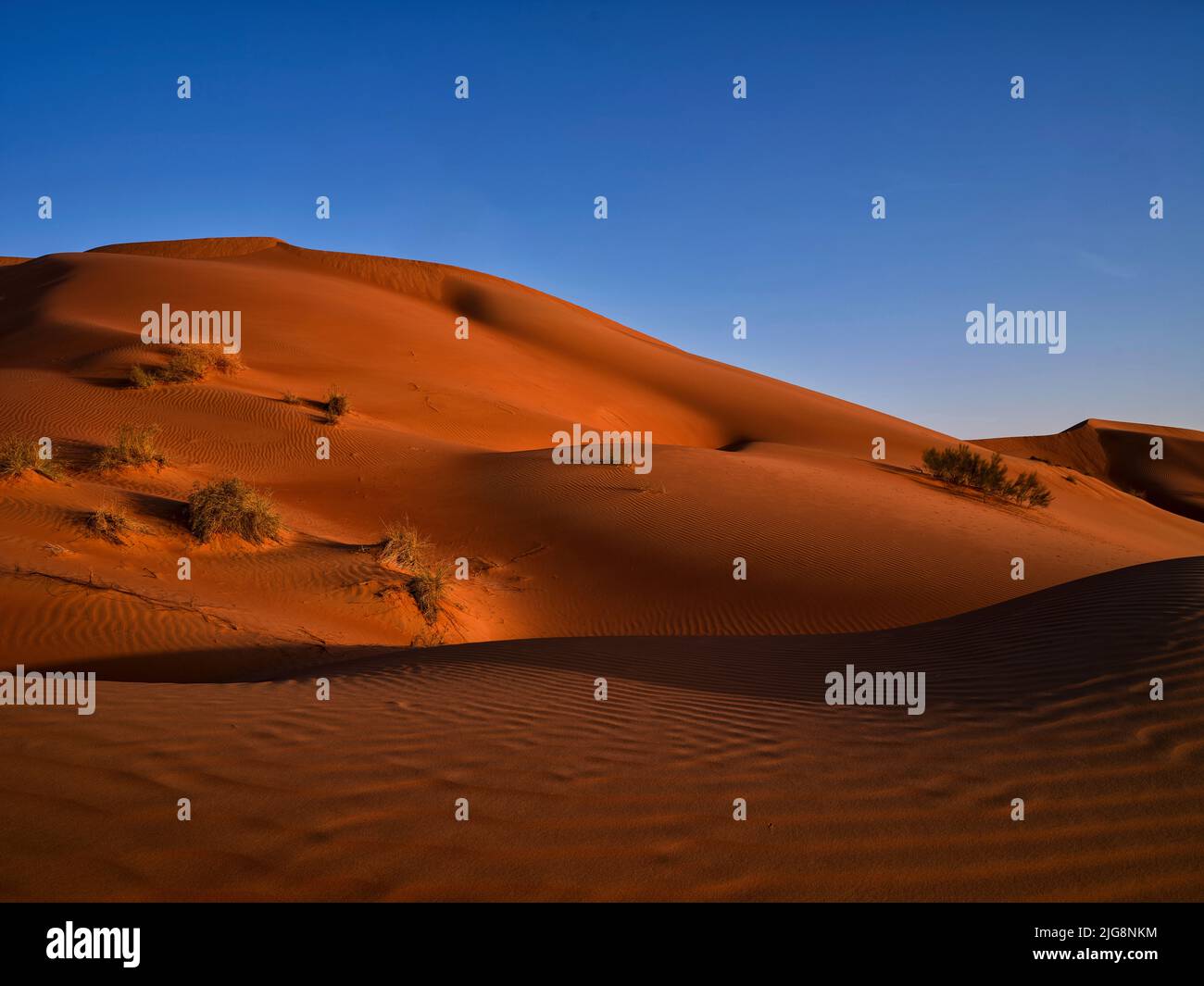 On the road in the dunes of the Rub-al-Khali, Oman Stock Photo - Alamy