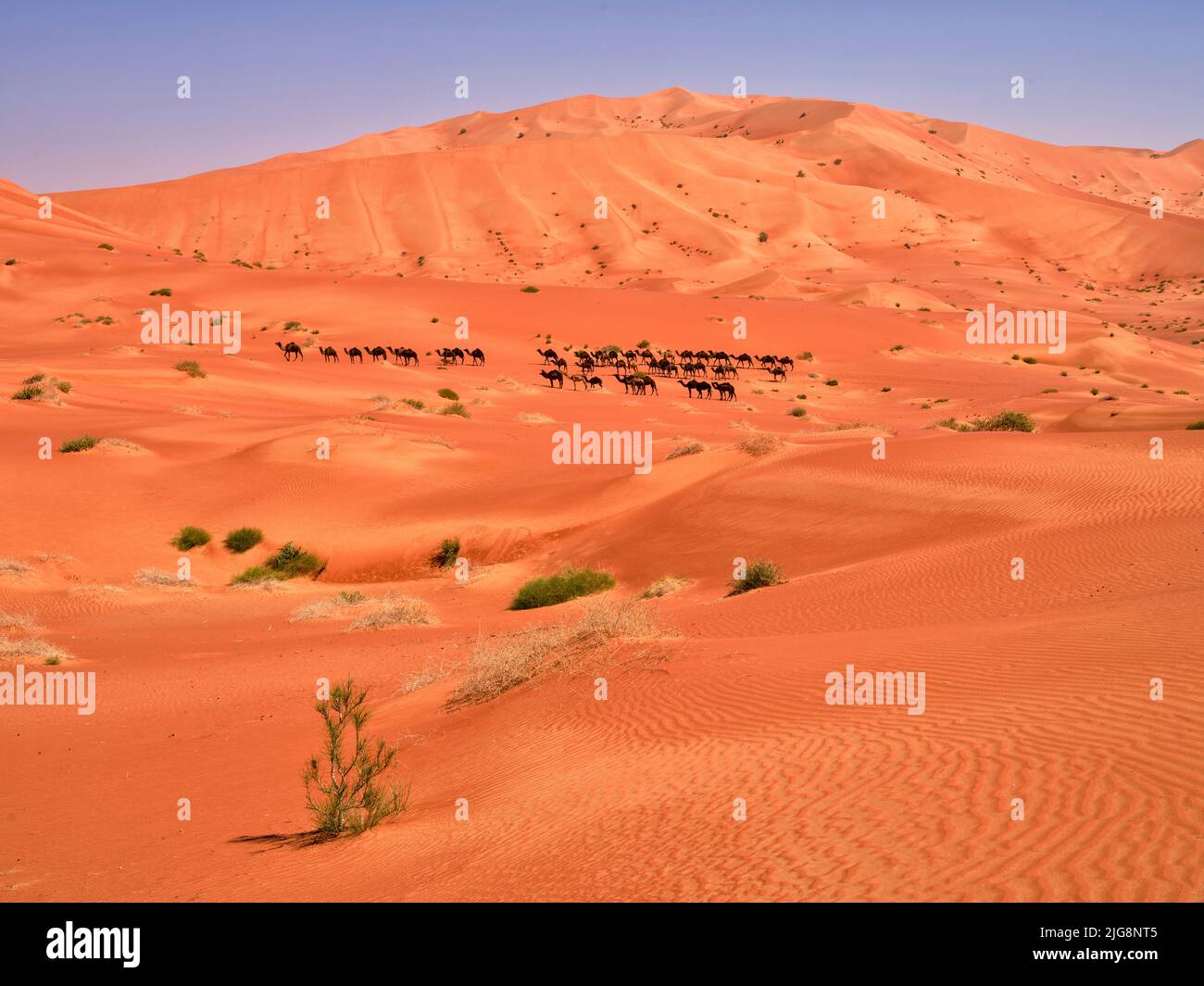 On the road in the dunes of the Rub-al-Khali, Oman Stock Photo - Alamy
