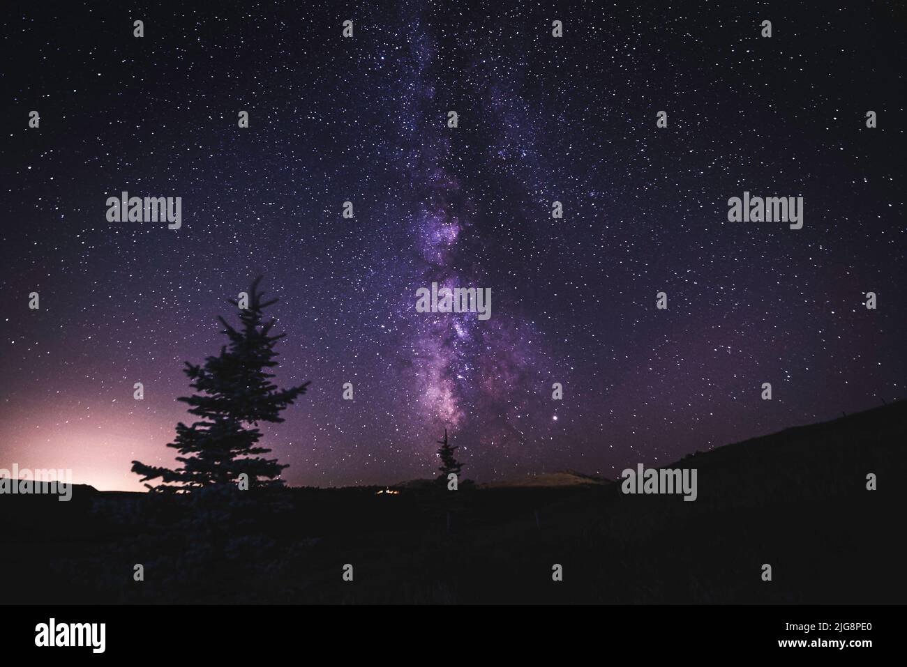A low-angle view of a beautiful forest at a starry night Stock Photo ...