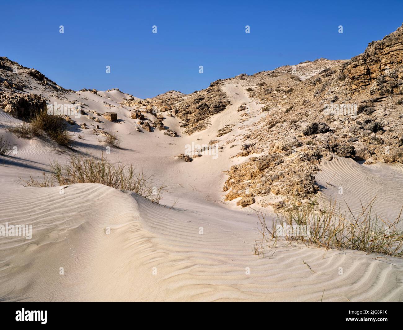 Dunes near Al Khaluf, Oman Stock Photo - Alamy