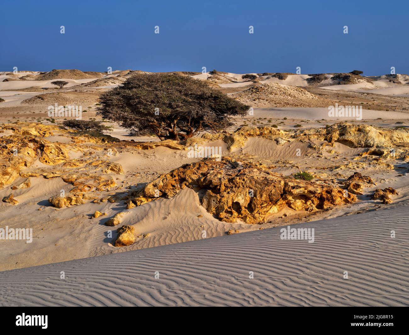Dunes near Al Khaluf, Oman Stock Photo - Alamy