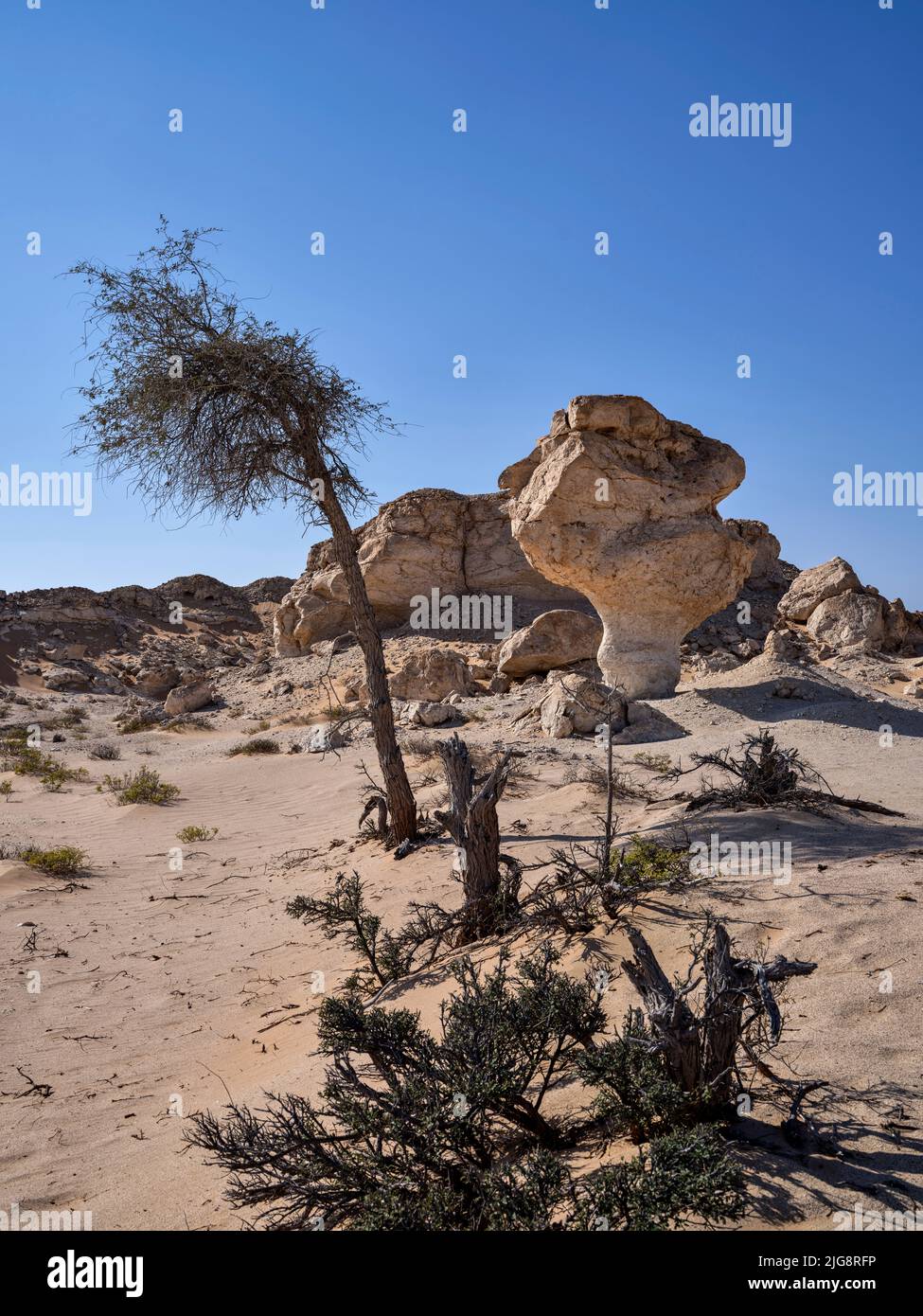 Stone desert between the arabian sea the rub al khali hi-res stock ...