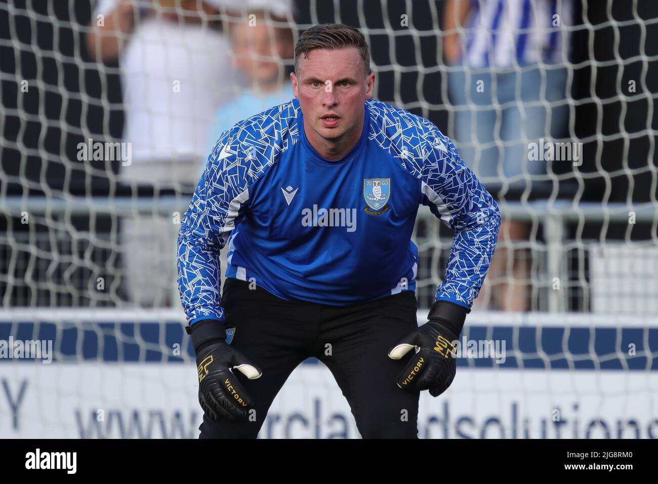 New signing for Sheffield Wednesday David Stockdale during the pre ...