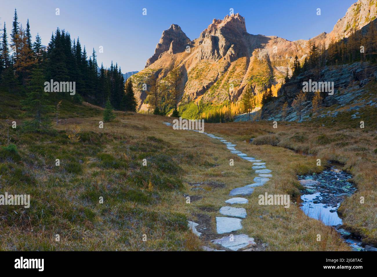 Theme park background hi-res stock photography and images - Alamy