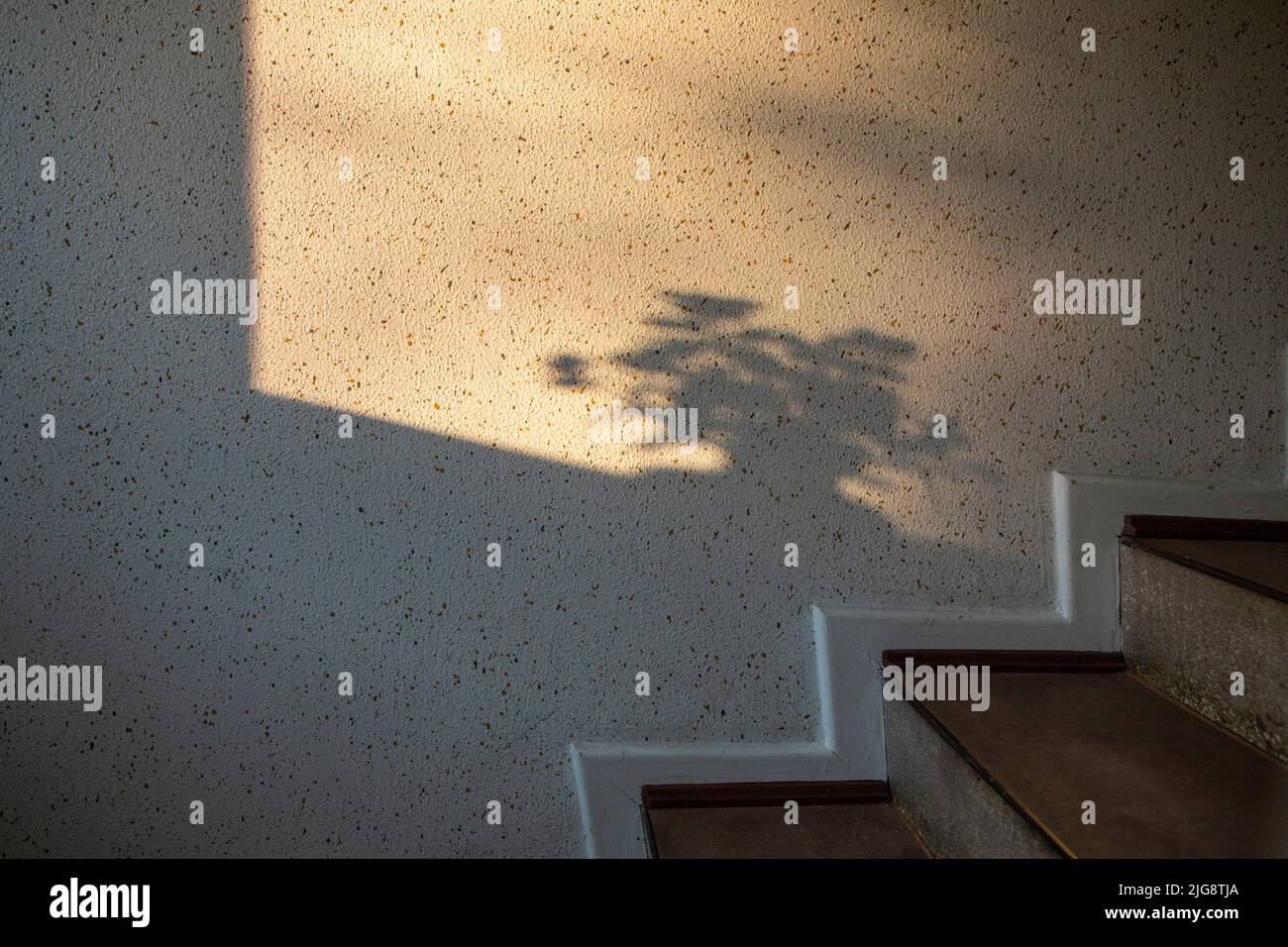 Stair shadows hi-res stock photography and images - Alamy