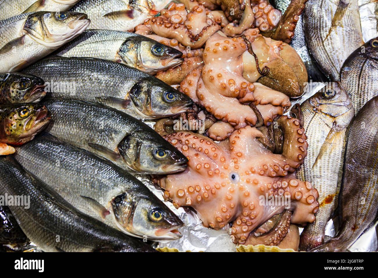 Seafood, fresh fish, Troyes, France Stock Photo - Alamy