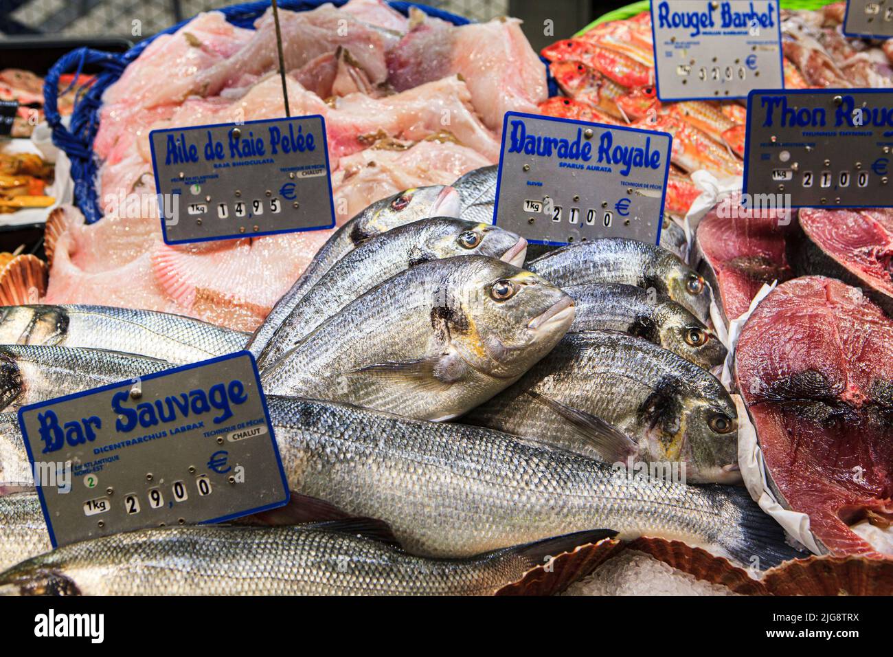 Seafood showcase hi-res stock photography and images - Alamy