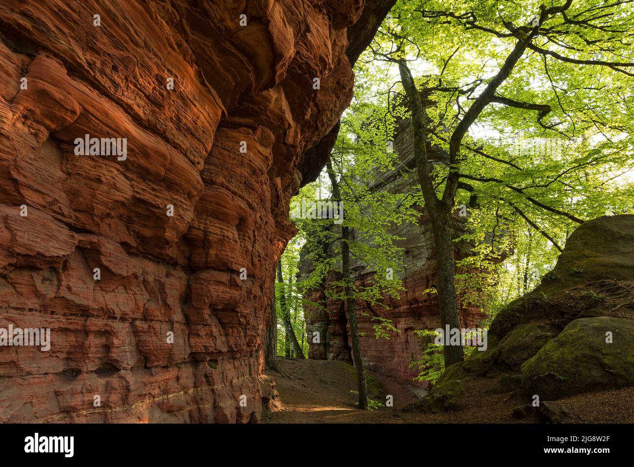 Morning mood at the old castle rocks, rock formation of red sandstone ...