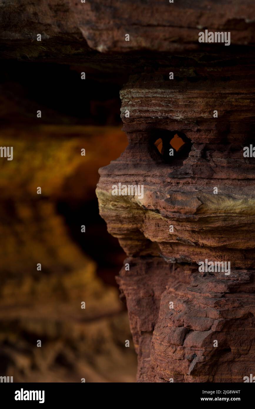 Rock detail at the Altschlossfelsen, rock formation of red sandstone ...