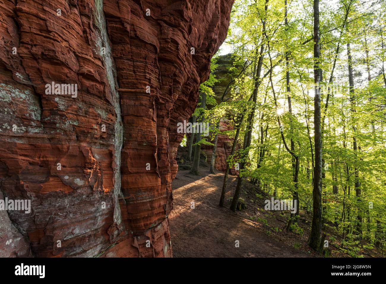 Morning mood at the old castle rocks, rock formation of red sandstone ...