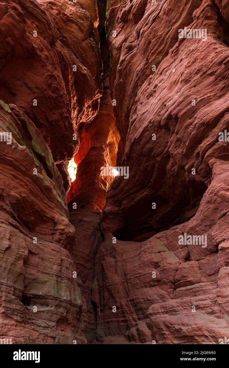 Altschlossfelsen, rock formation of red sandstone near Eppenbrunn ...