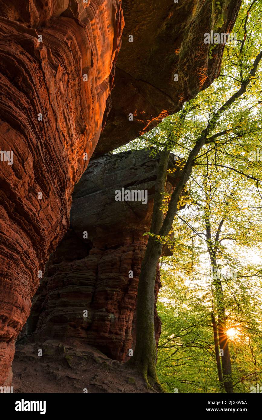 Evening mood at the old castle rocks, rock formation of red sandstone ...