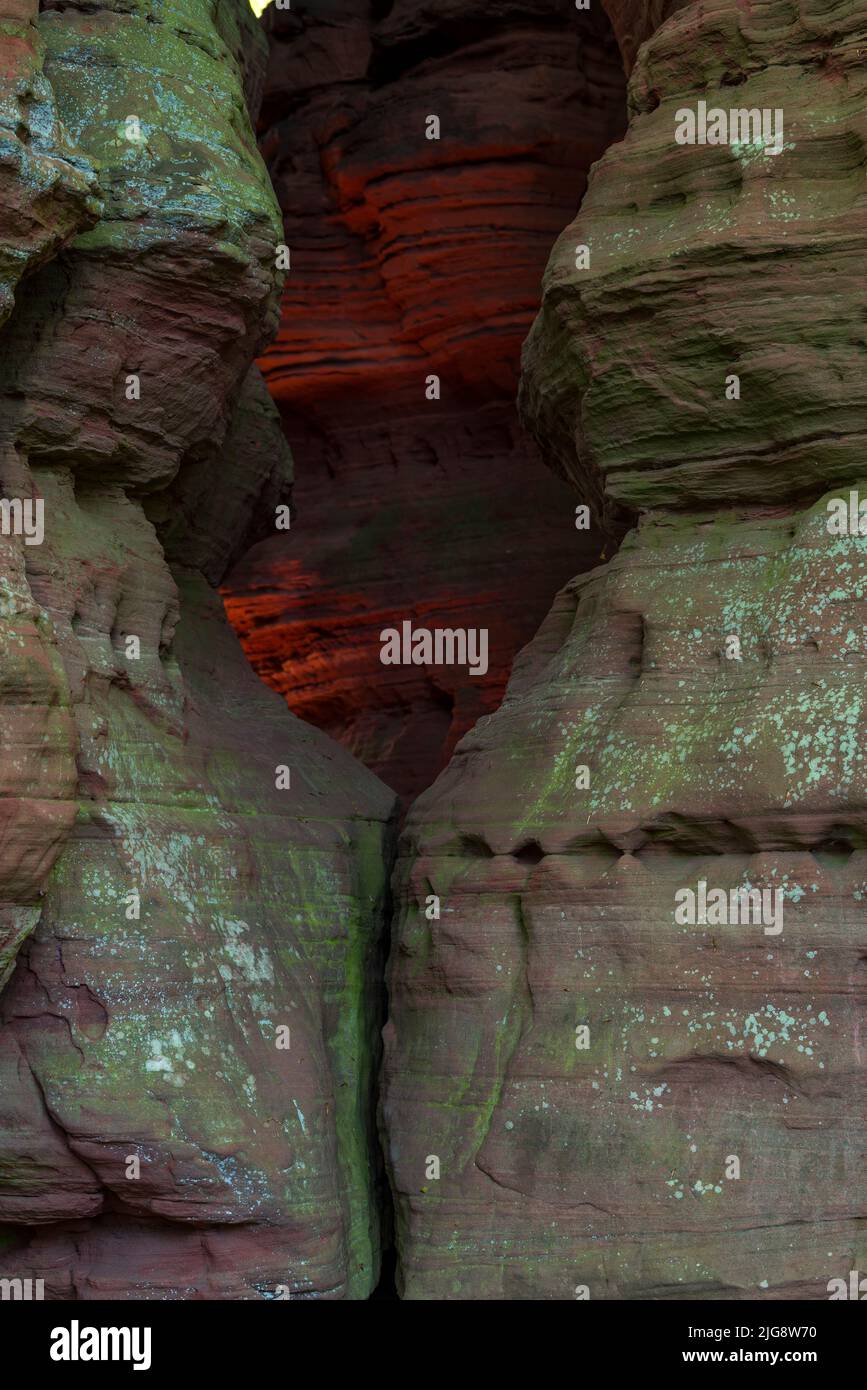 Rock glow in the morning at the Altschlossfelsen, rock formation of red ...