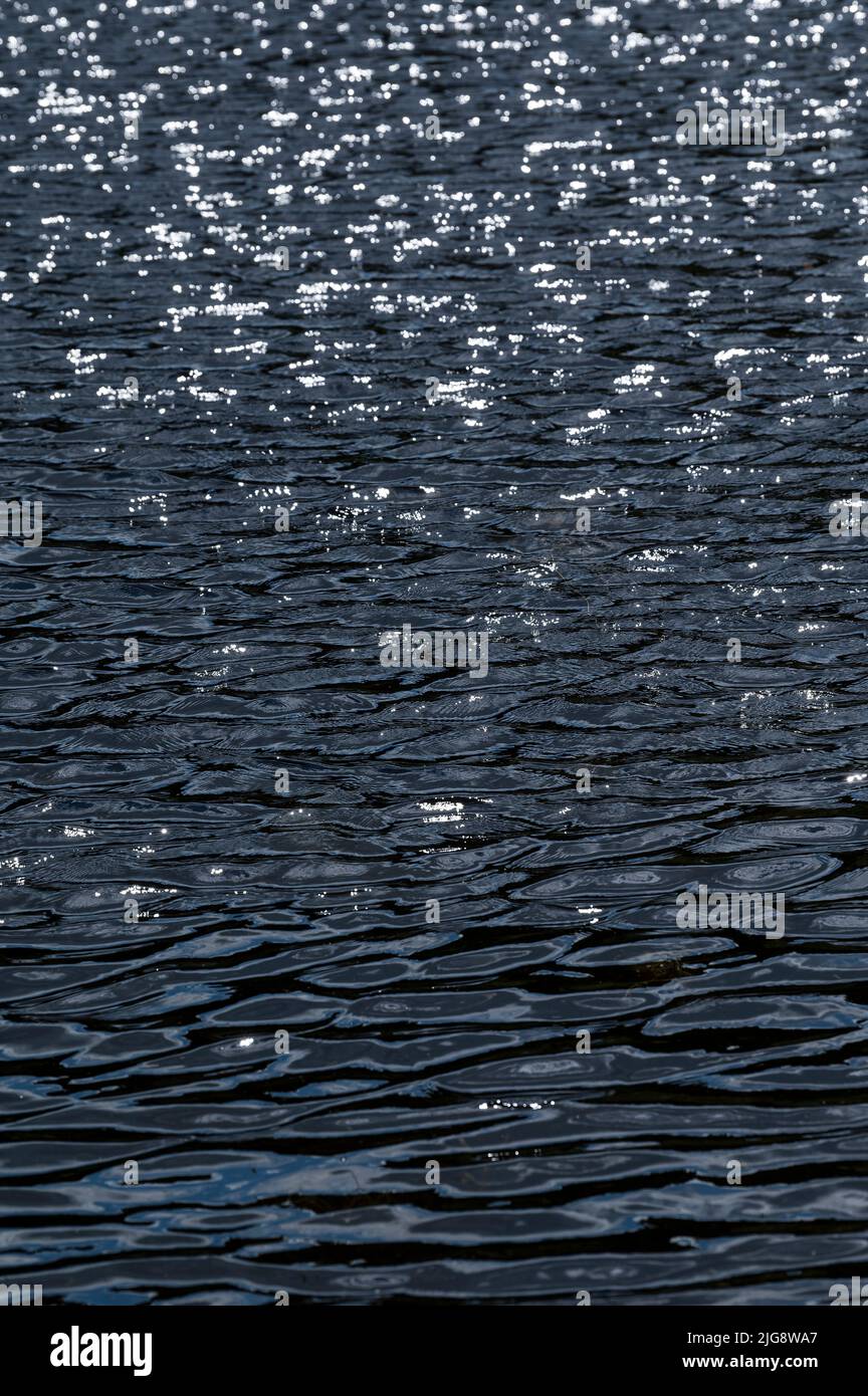 Light reflections on the water surface of a lake, sunlight, backlight ...