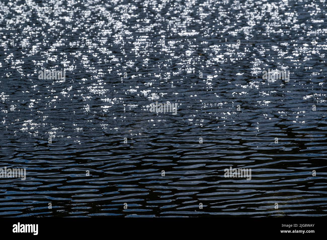 Light reflections on the water surface of a lake, sunlight, backlight ...