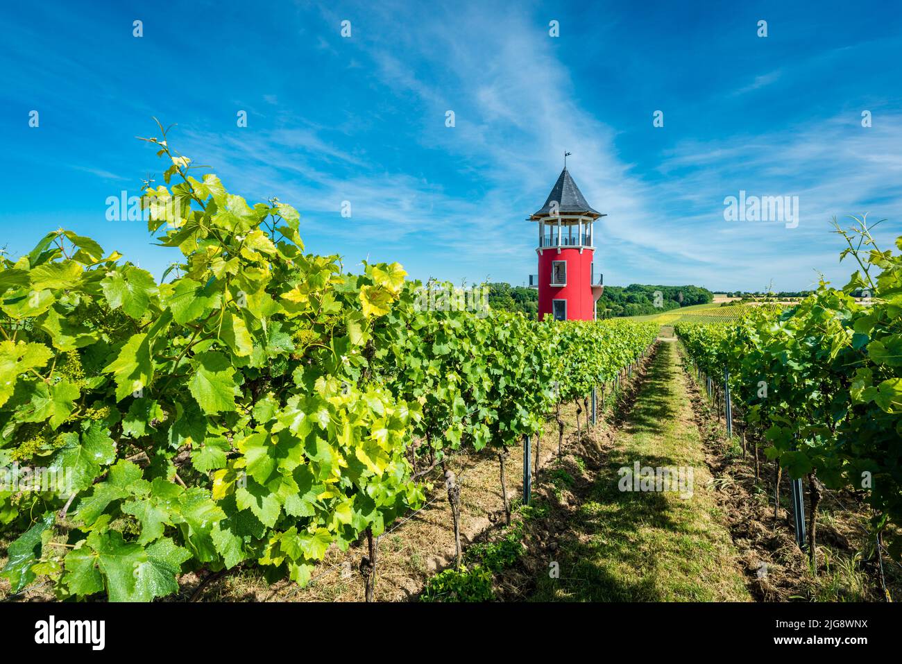lookout tower, vineyard architecture, vines, viticulture, Burgundy ...