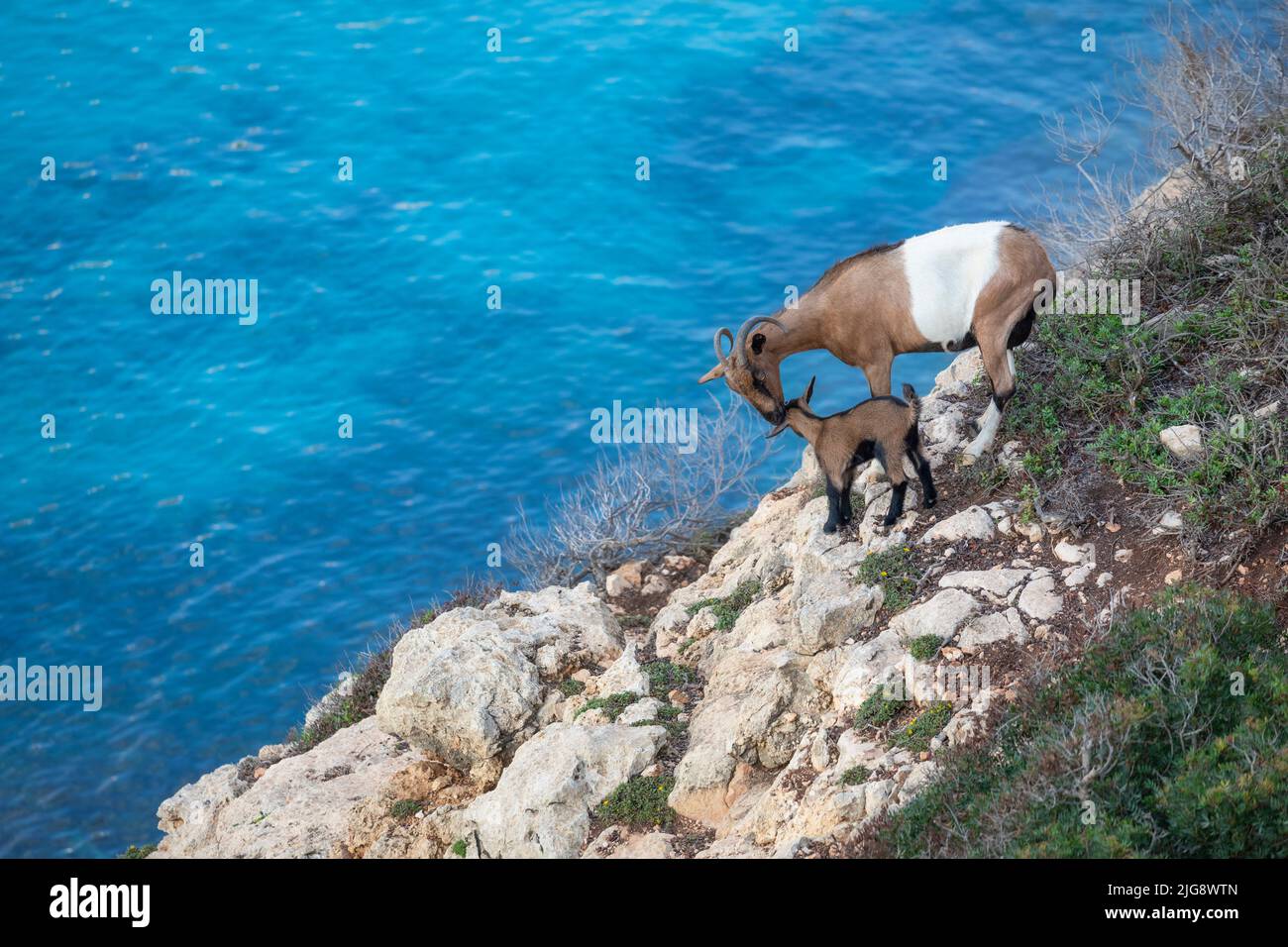 Spain, Balearic islands, Mallorca, district of Manacor, Cales de ...