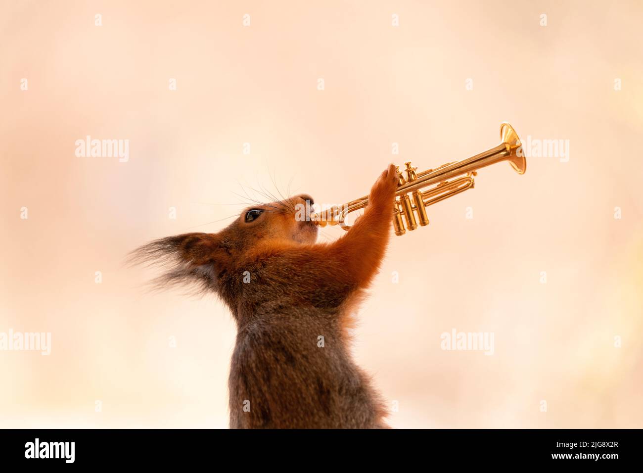 Holding trumpet hi-res stock photography and images - Alamy