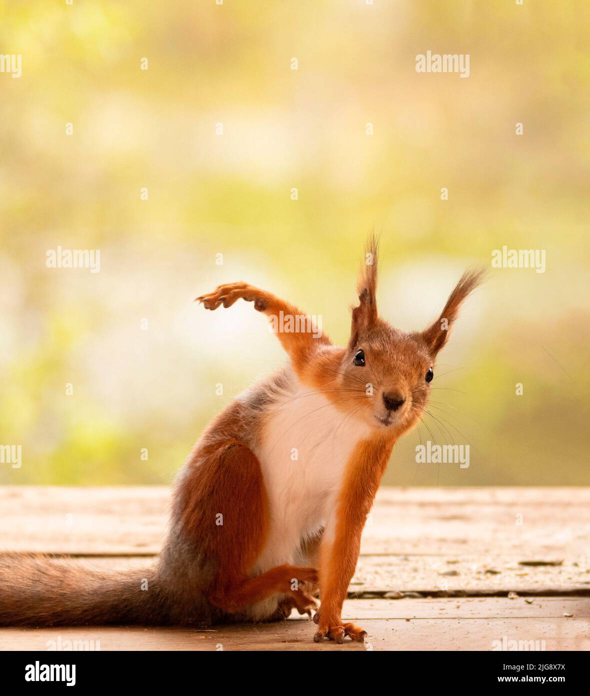 Ground stand hi-res stock photography and images - Alamy