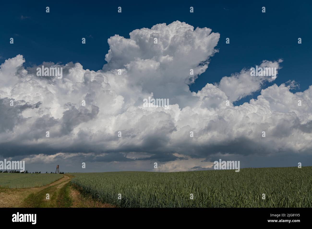 Thunderclouds over a field hi-res stock photography and images - Alamy