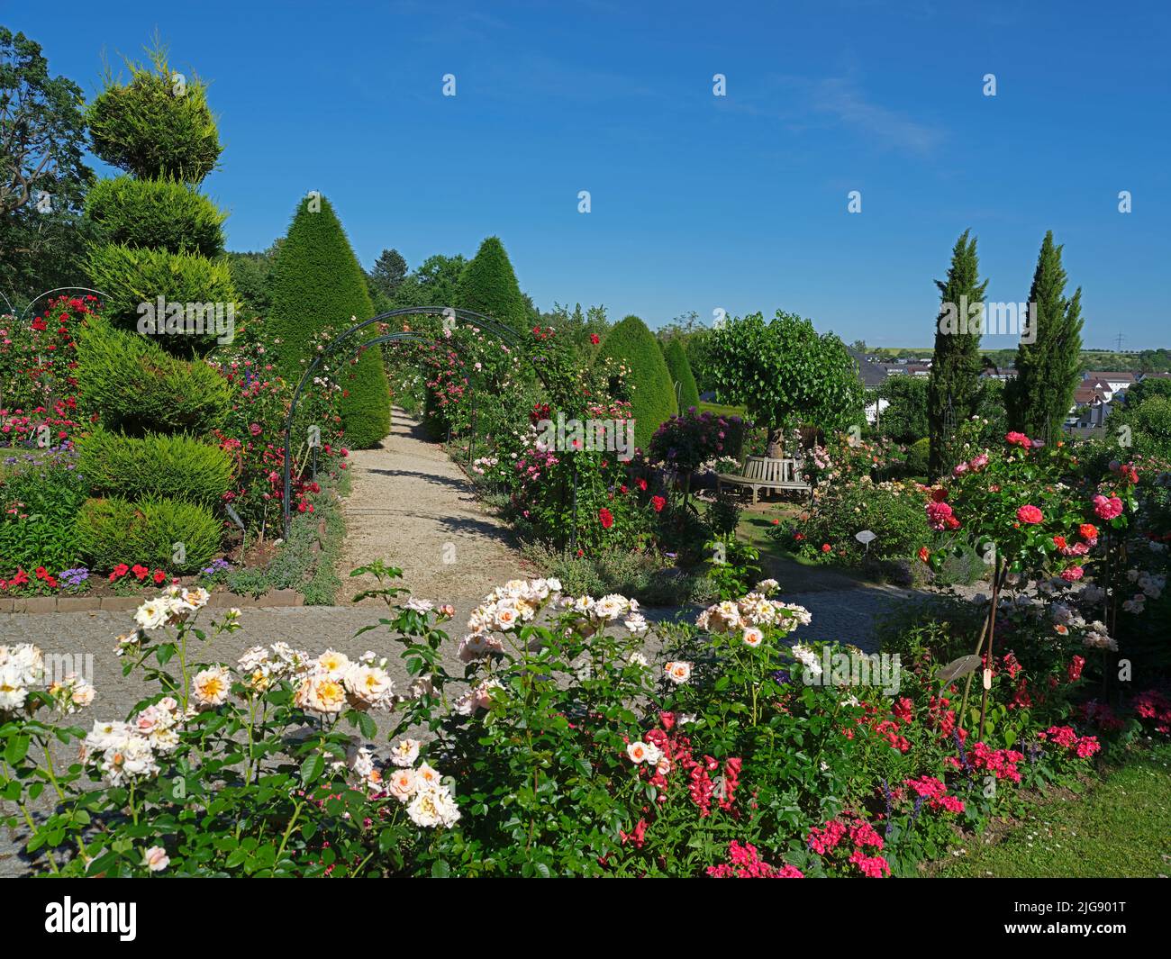 Rose garden hadamar hi-res stock photography and images - Alamy
