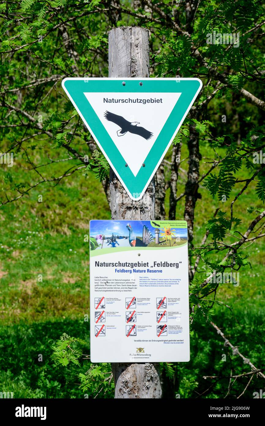 Germany, Baden-Württemberg, Black Forest, Feldberg, nature reserve ...