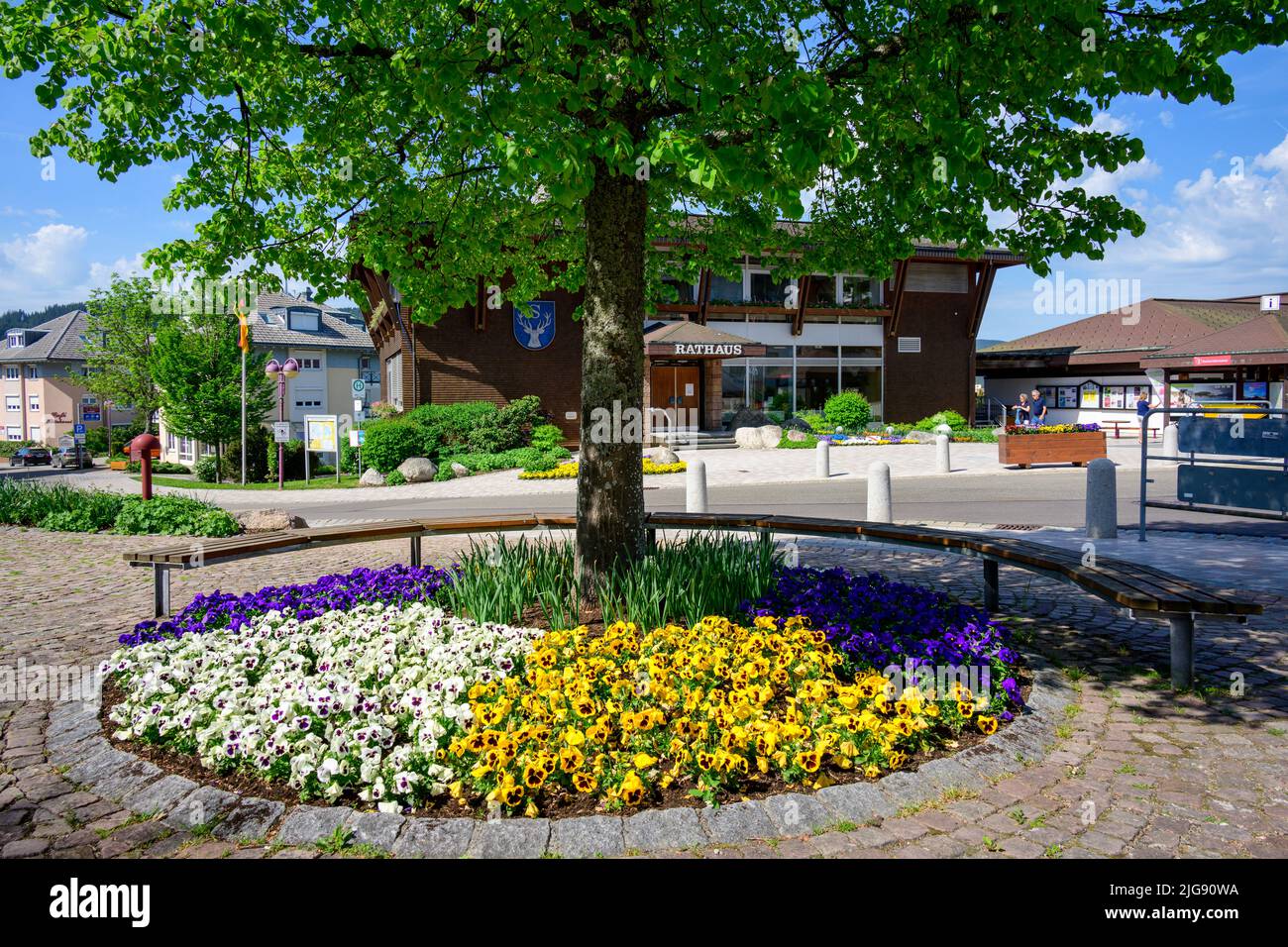 Flower bed near the town hall hi-res stock photography and images - Alamy