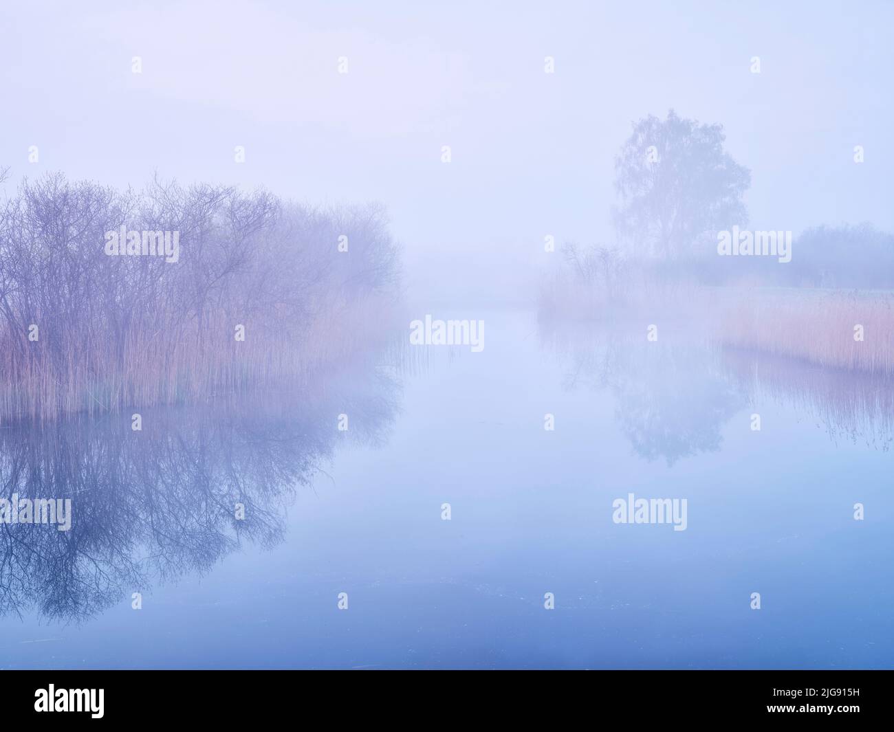 Morning fog in the nature reserve Mertinger Hölle Stock Photo - Alamy