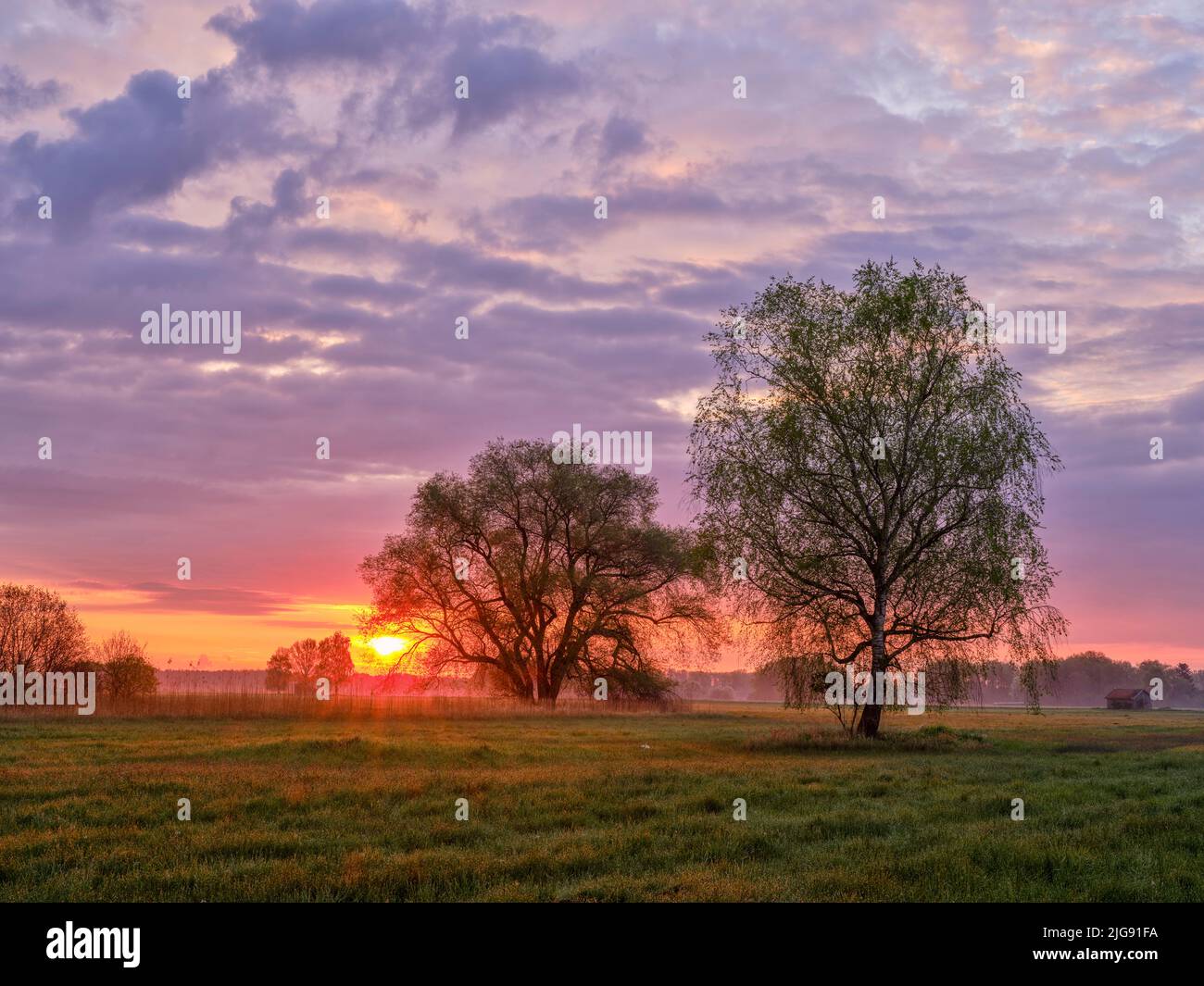 Mire character, litter meadow, wet meadow, wet meadow, extensive ...