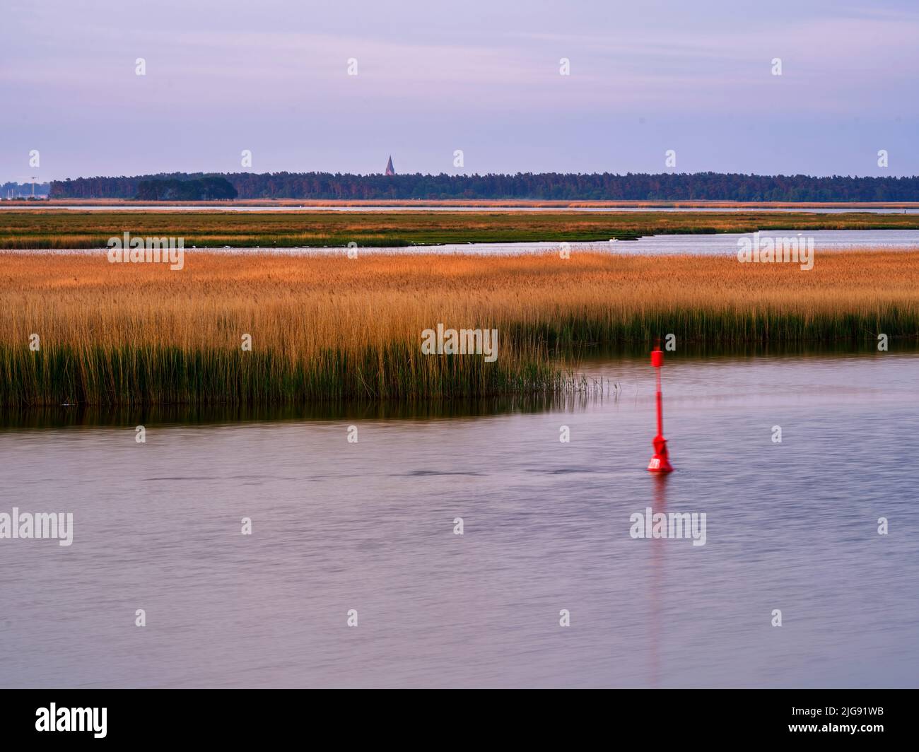 Flitt hi-res stock photography and images - Alamy