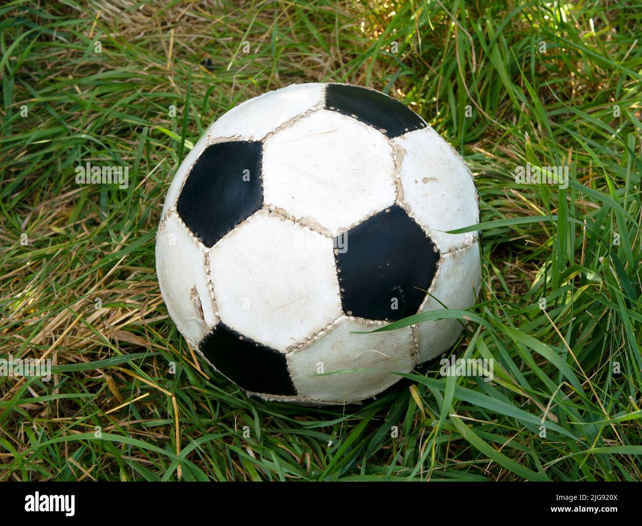 Black and white soccer ball lies in the grass, close-up Stock Photo - Alamy