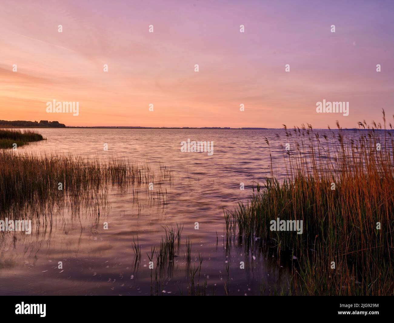 Barther heerd hi-res stock photography and images - Alamy