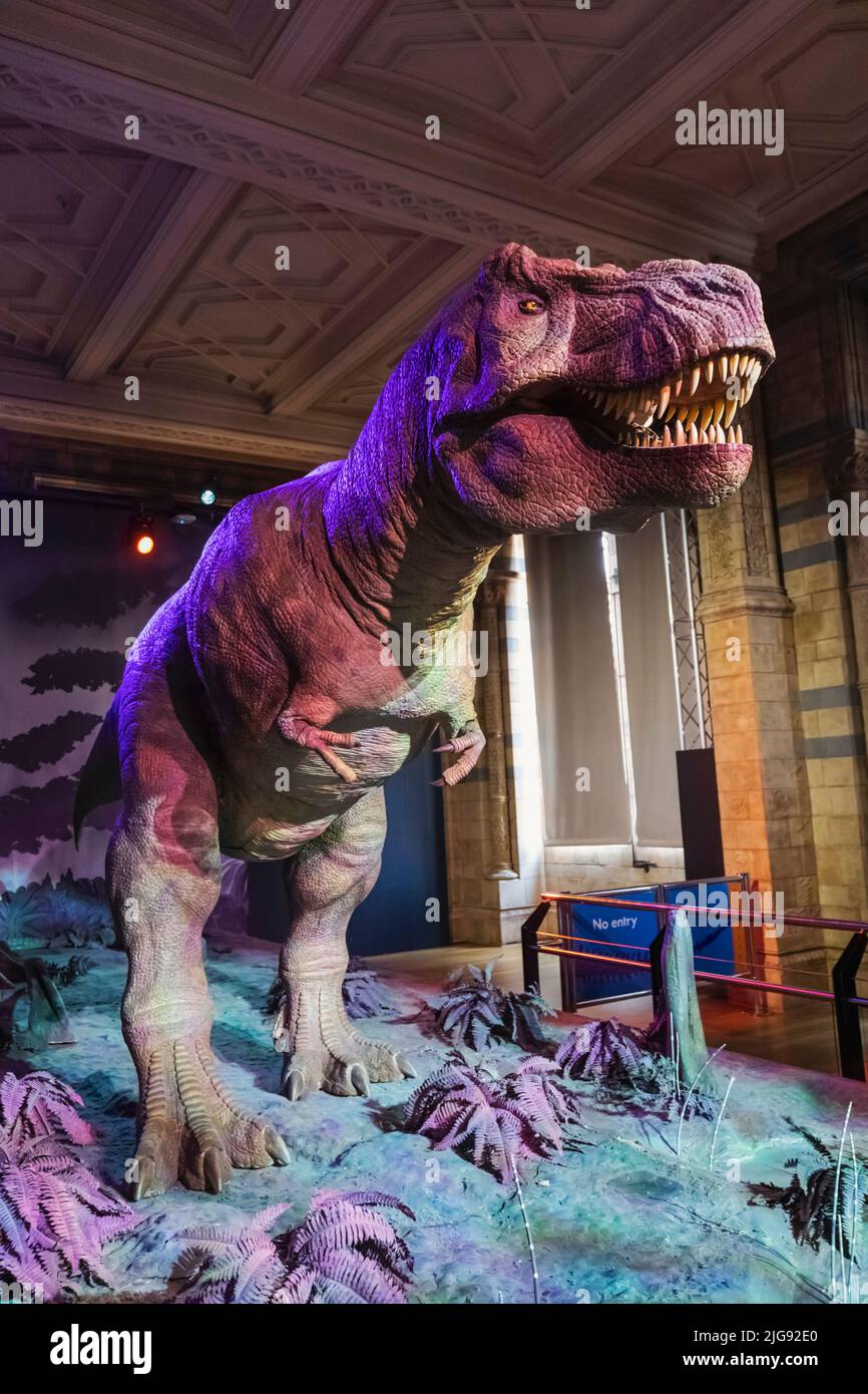 England, London, South Kensington, Natural History Museum, Animatonic ...