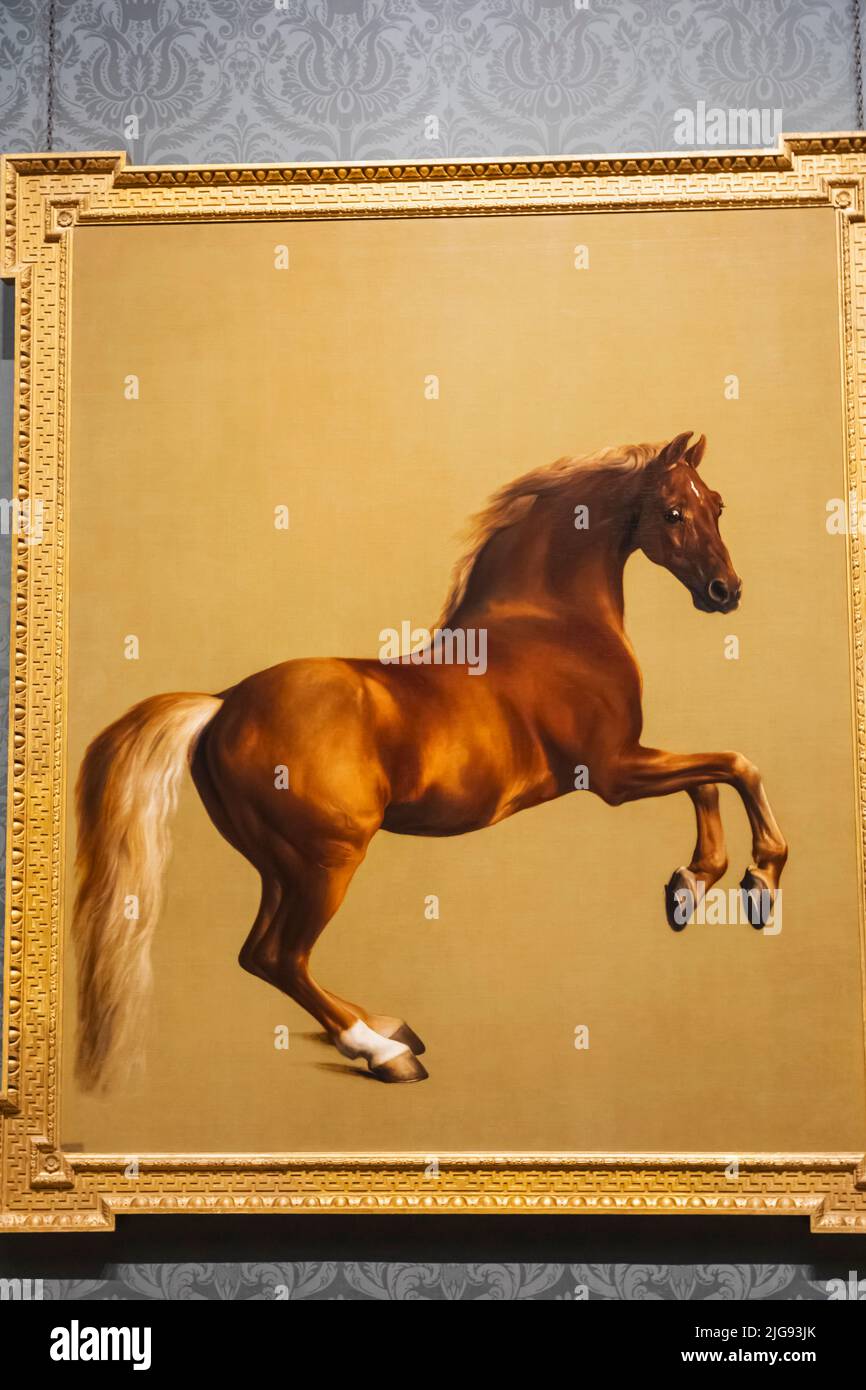 Painting titled "Whistlejacket" by George Stubbs dated 1762 Stock Photo ...