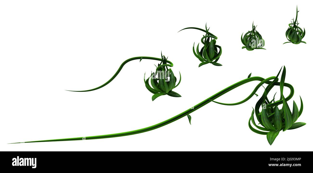 Plant vines green growing twisting budding five tendril reach, 3d ...